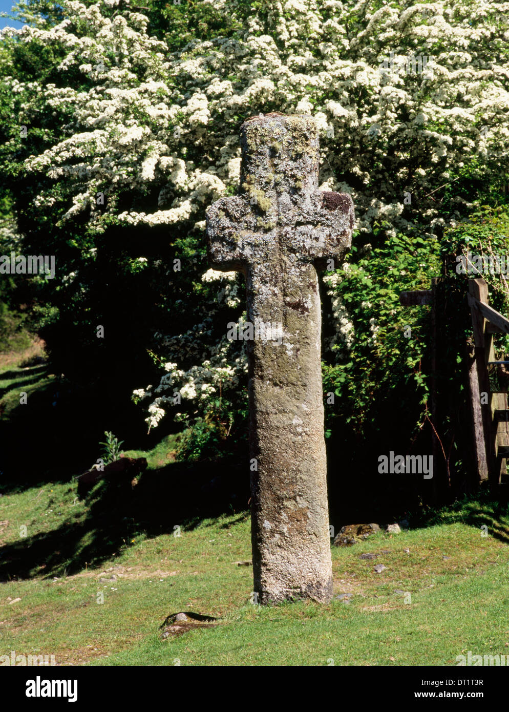 Incised cross hi-res stock photography and images - Alamy