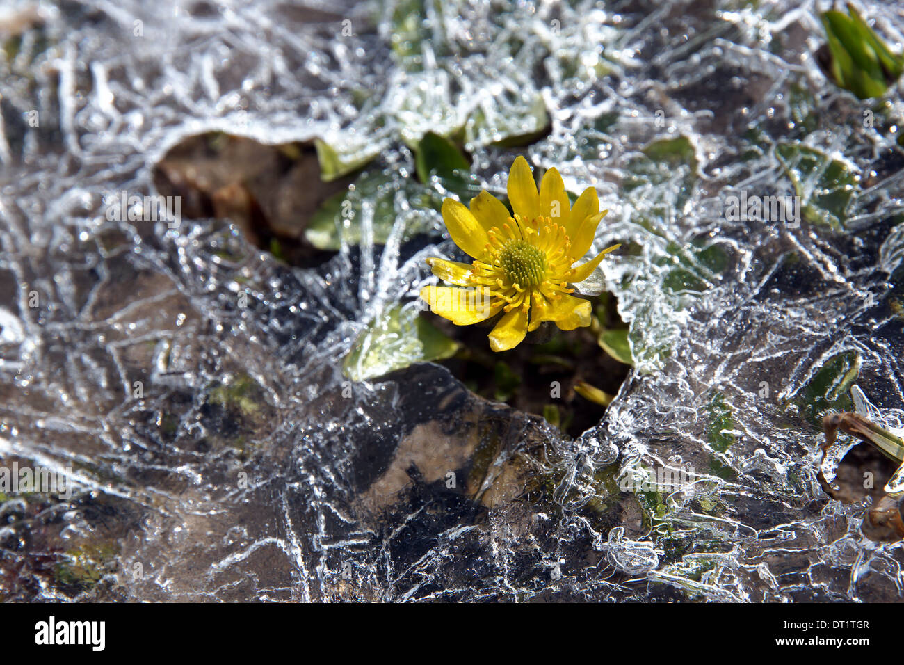 Spring ice hi-res stock photography and images - Alamy