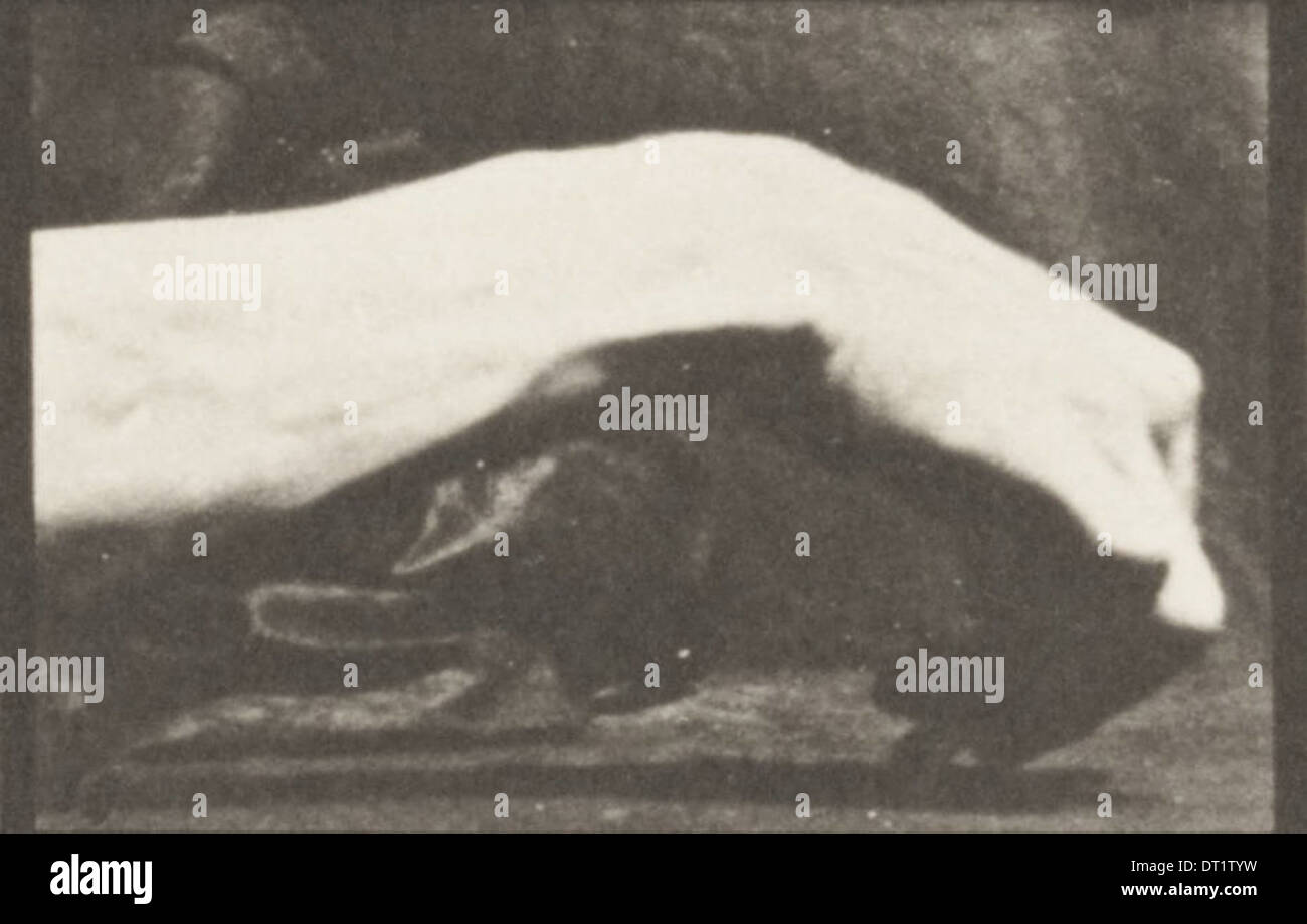 The image captures a hand drawing a circle, likely from a historical ...