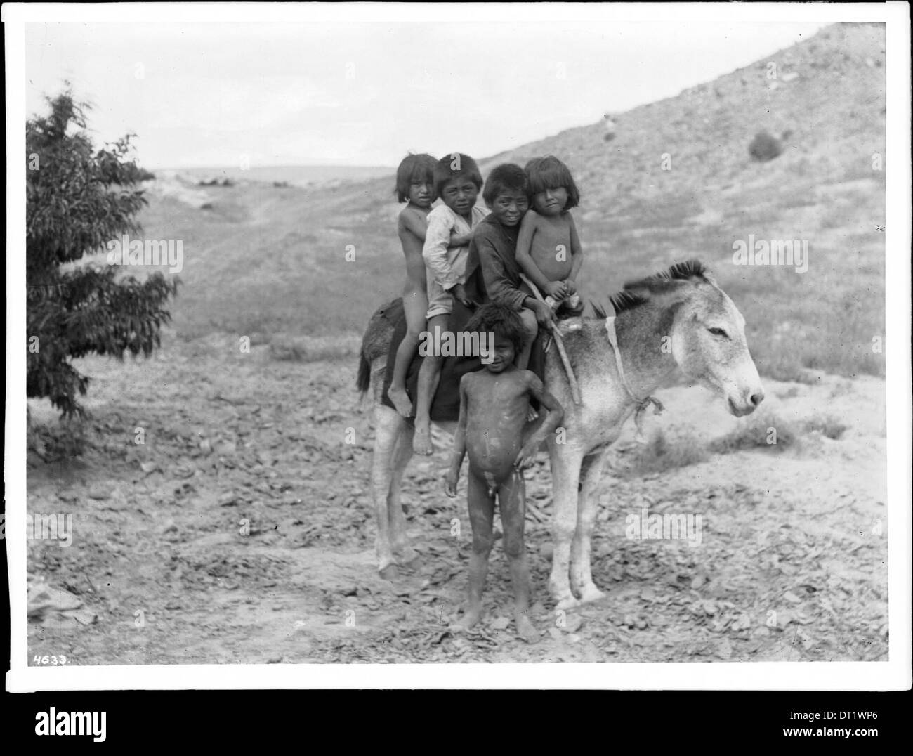 Photograph of Hopi children riding a burro in Arizona, taken around 1898. The image captures the ...