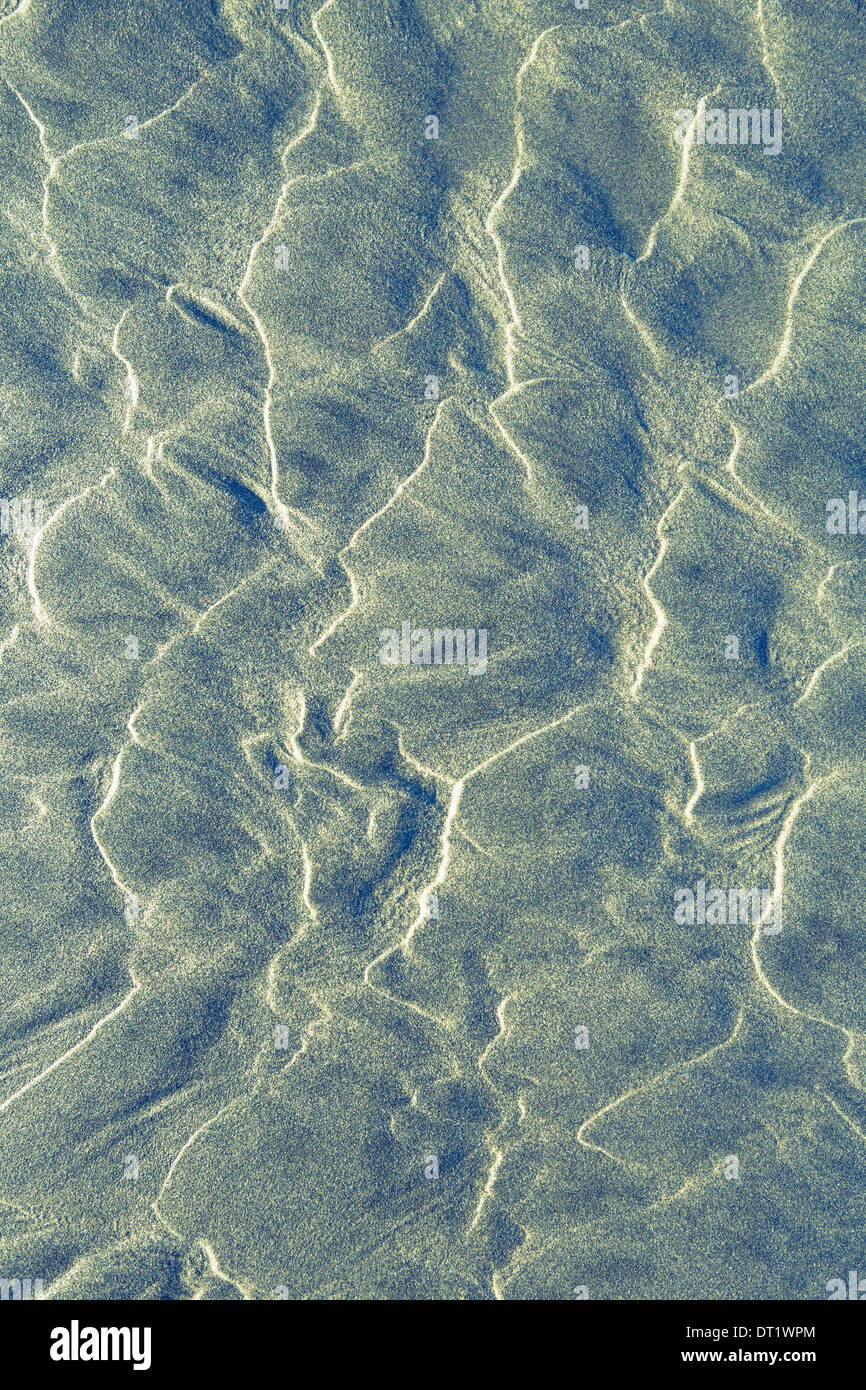 Intertidal zone hi-res stock photography and images - Alamy