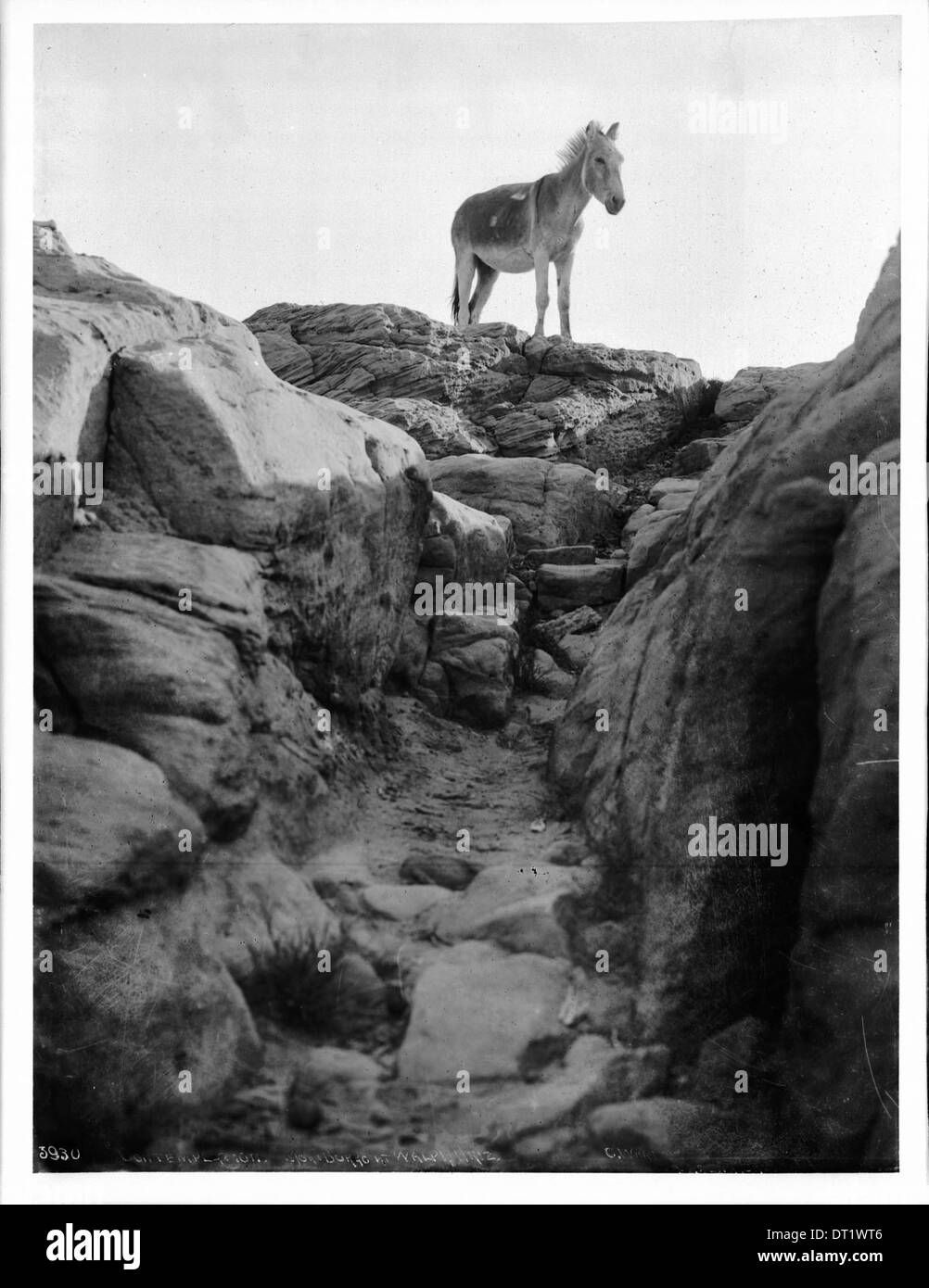 Walpi hopi hi-res stock photography and images - Alamy