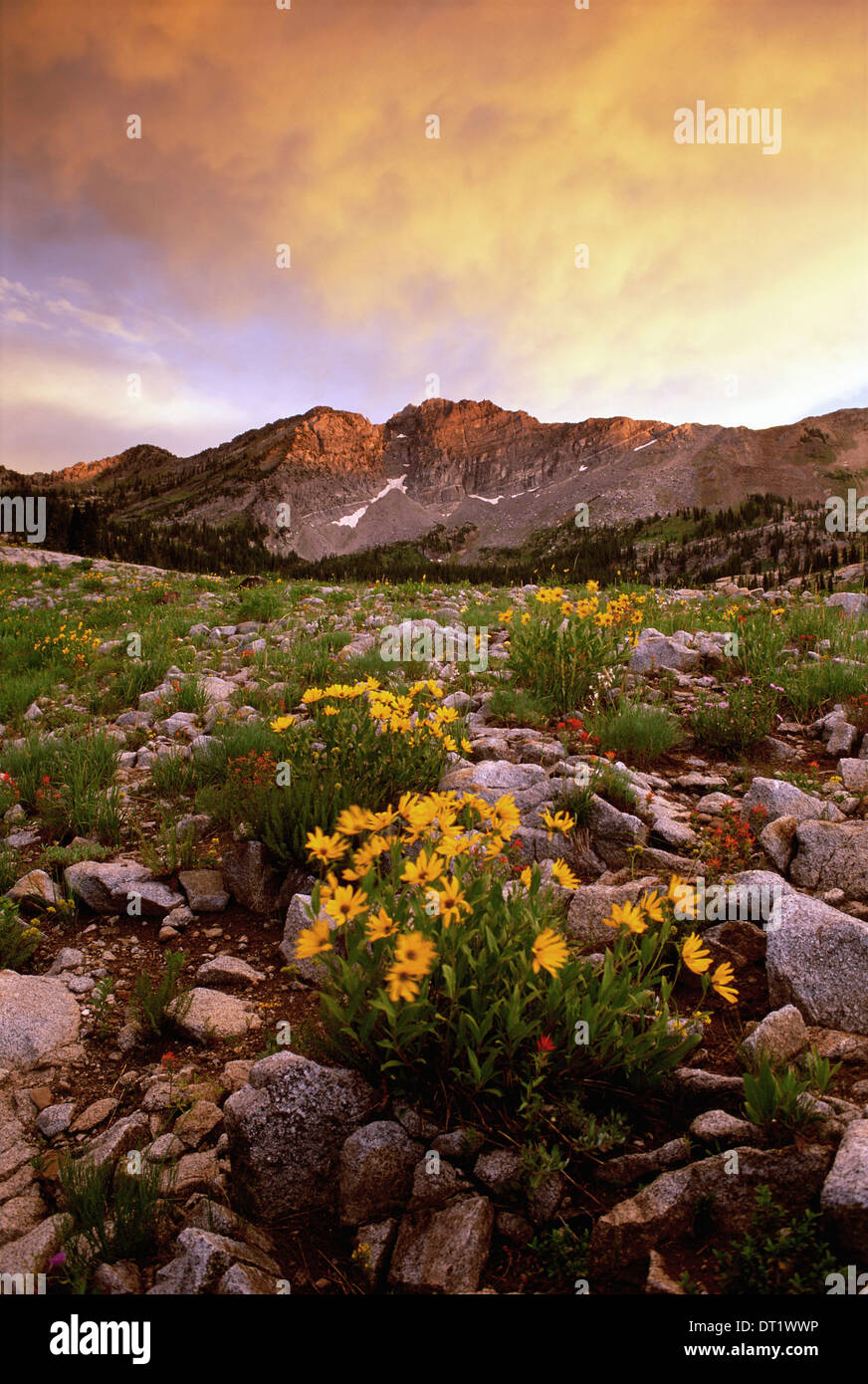 Wasatch mountains sunset utah hi-res stock photography and images - Alamy