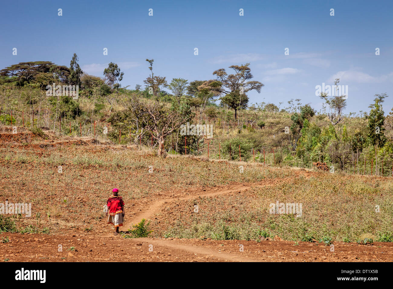 The Konso Landscape, Konso Region, Ethiopia Stock Photo - Alamy