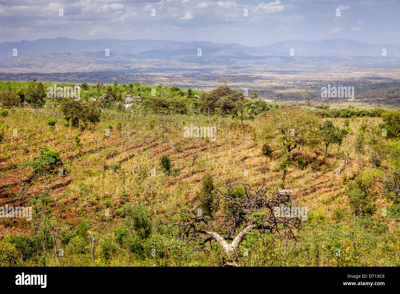 The Konso Landscape, Konso Region, Ethiopia Stock Photo - Alamy