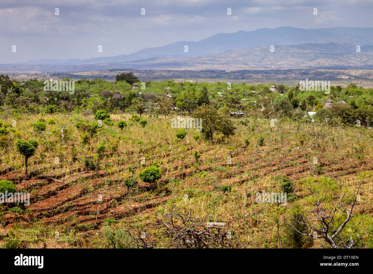 The Konso Landscape, Konso Region, Ethiopia Stock Photo - Alamy