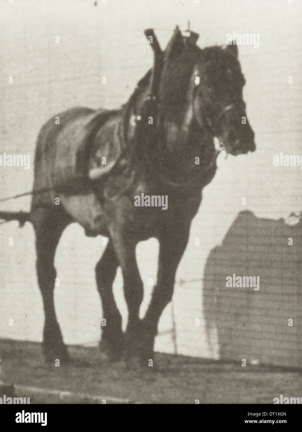 Dusel hi-res stock photography and images - Alamy