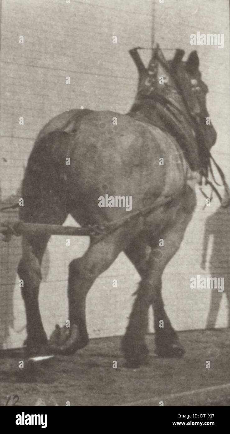 Dusel hi-res stock photography and images - Alamy