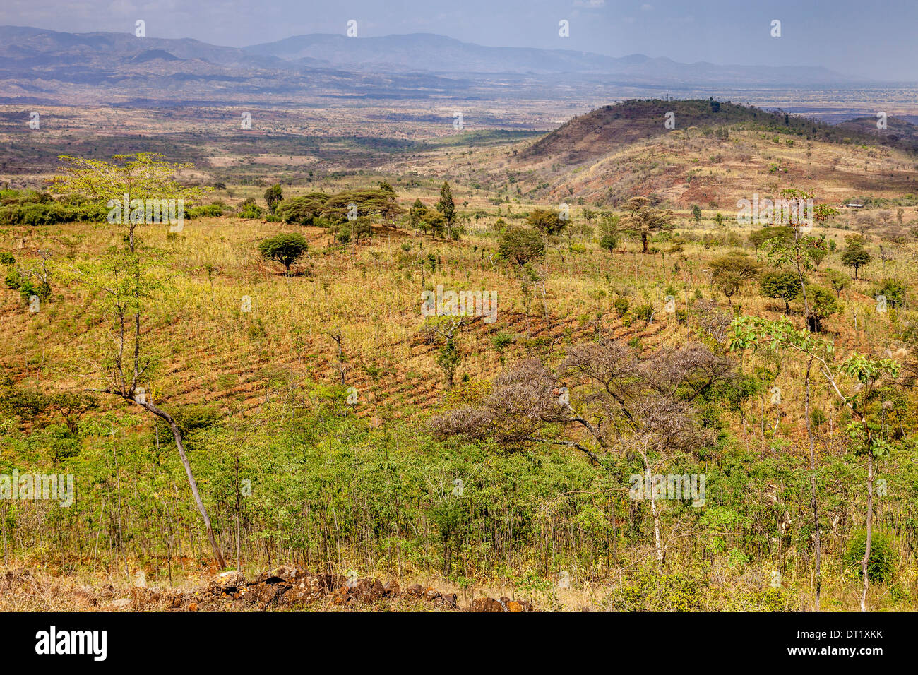 The Konso Landscape, Konso Region, Ethiopia Stock Photo - Alamy