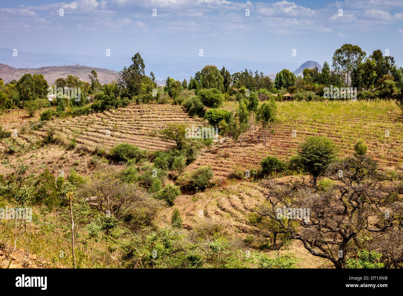The Konso Landscape, Konso Region, Ethiopia Stock Photo - Alamy