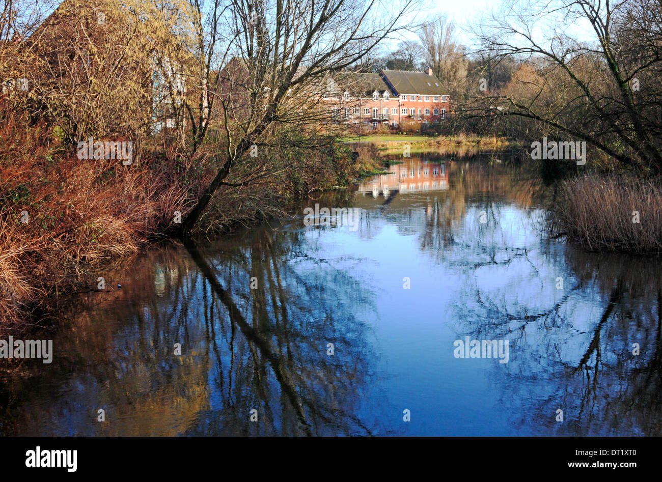 A view of the River Wensum upstream of Norwich, Norfolk, England ...