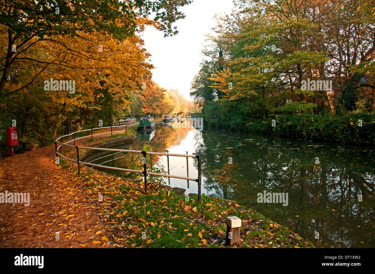 Autumn trees, Oxford Canal Stock Photo - Alamy