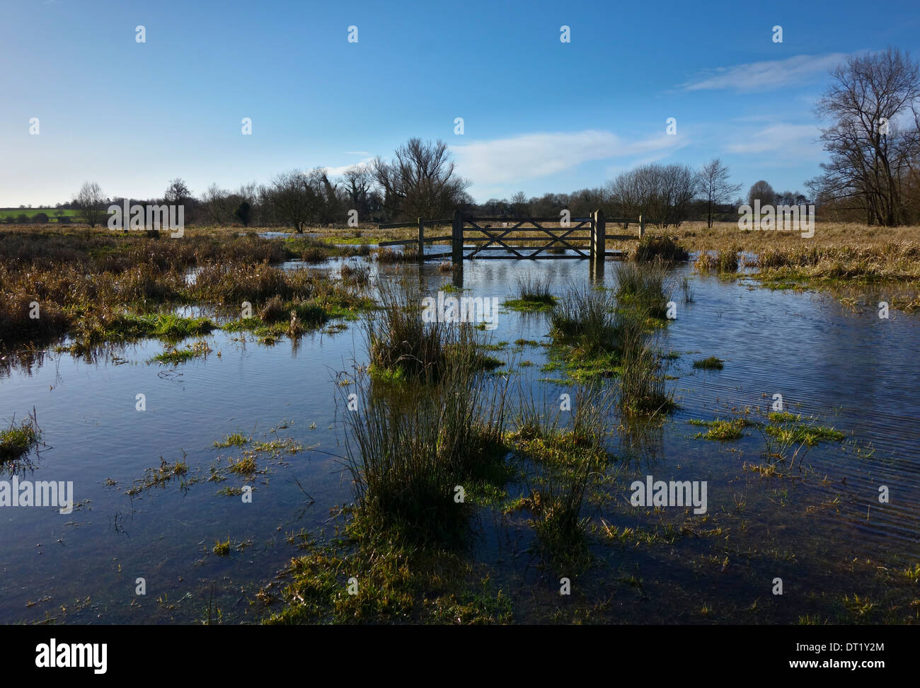 Field flood hi-res stock photography and images - Alamy