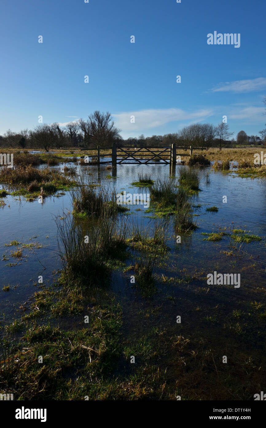 Flooded Field Flood Plain Water Stock Photos & Flooded Field Flood ...