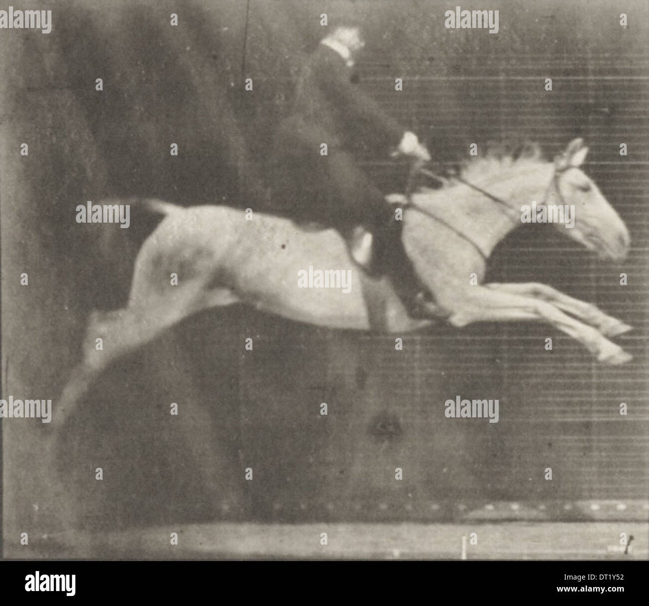 A horse named Pandora is shown jumping over a hurdle, knocking it over ...