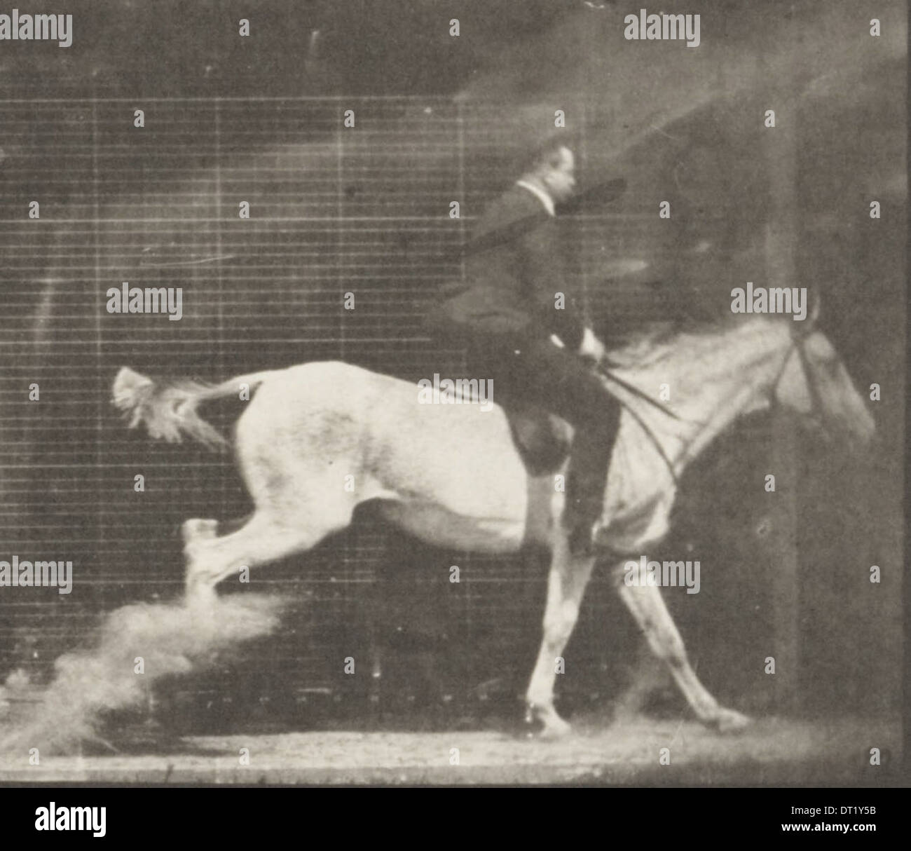 A historic photograph of a horse named Pandora jumping over a hurdle ...