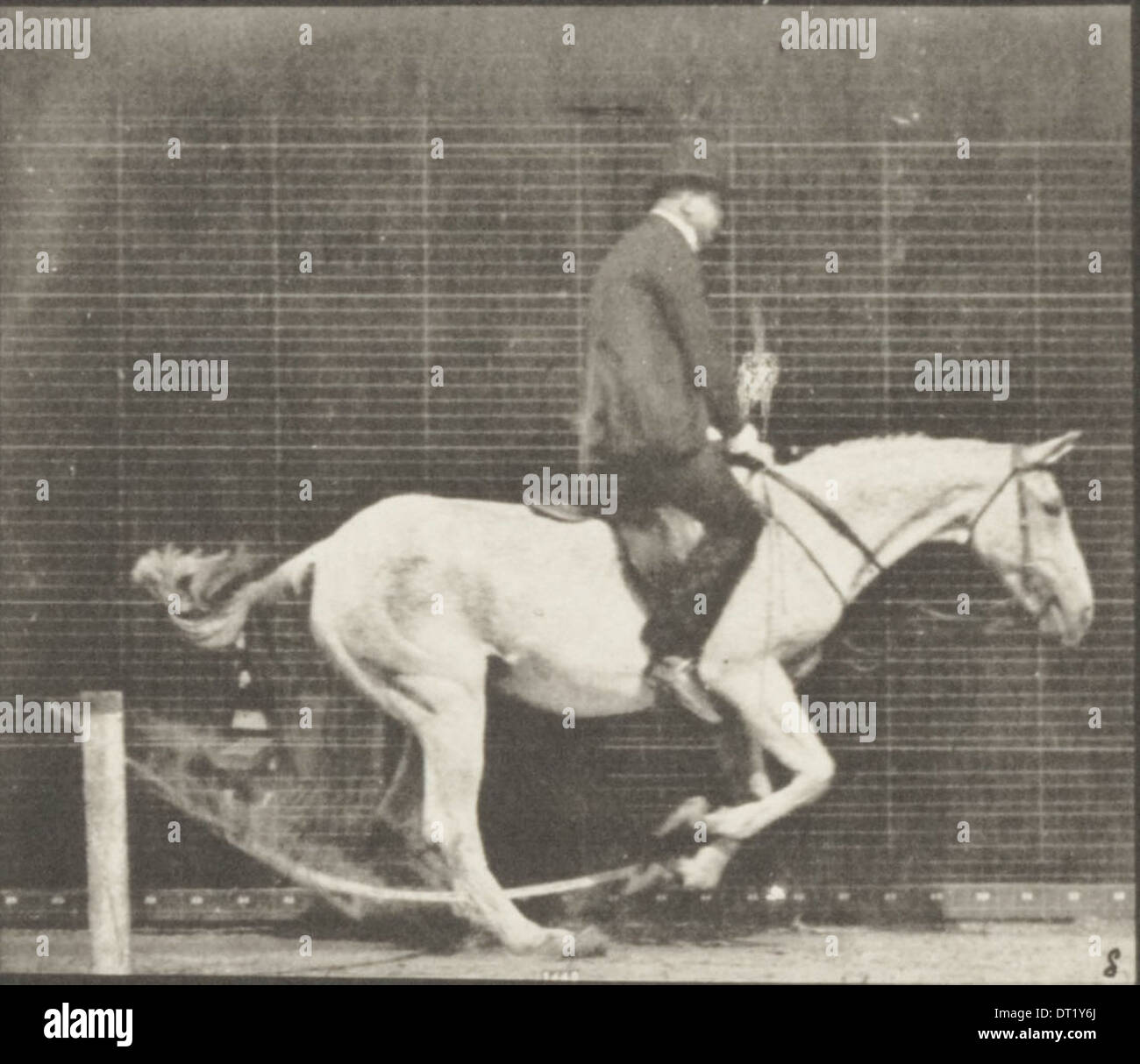 Rider on horse jumping over hi-res stock photography and images - Alamy