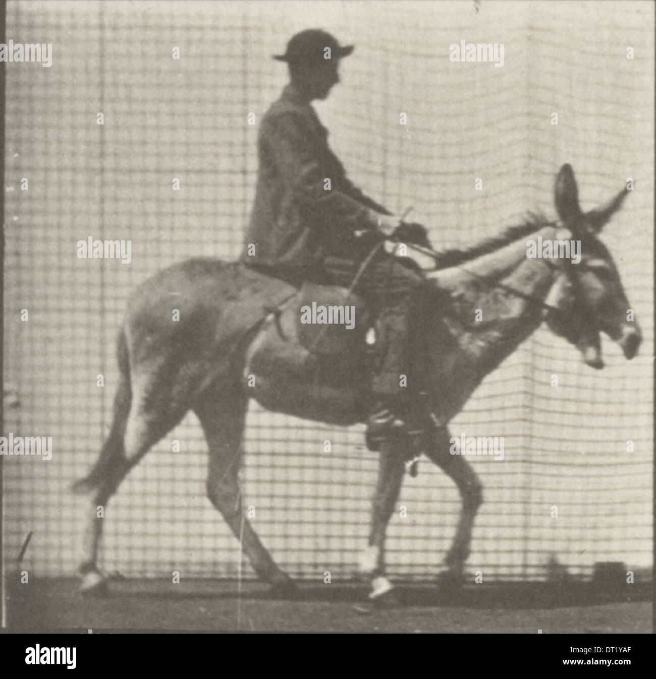 Historical depiction horse rider hi-res stock photography and images ...