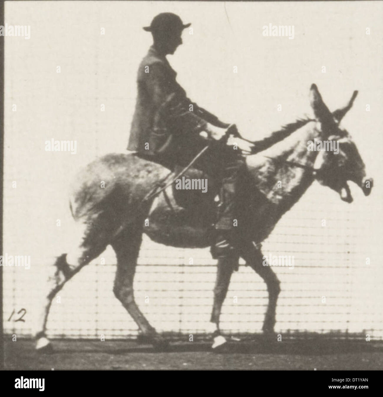 A photograph of a horse walking, saddled with a rider, captured in a ...