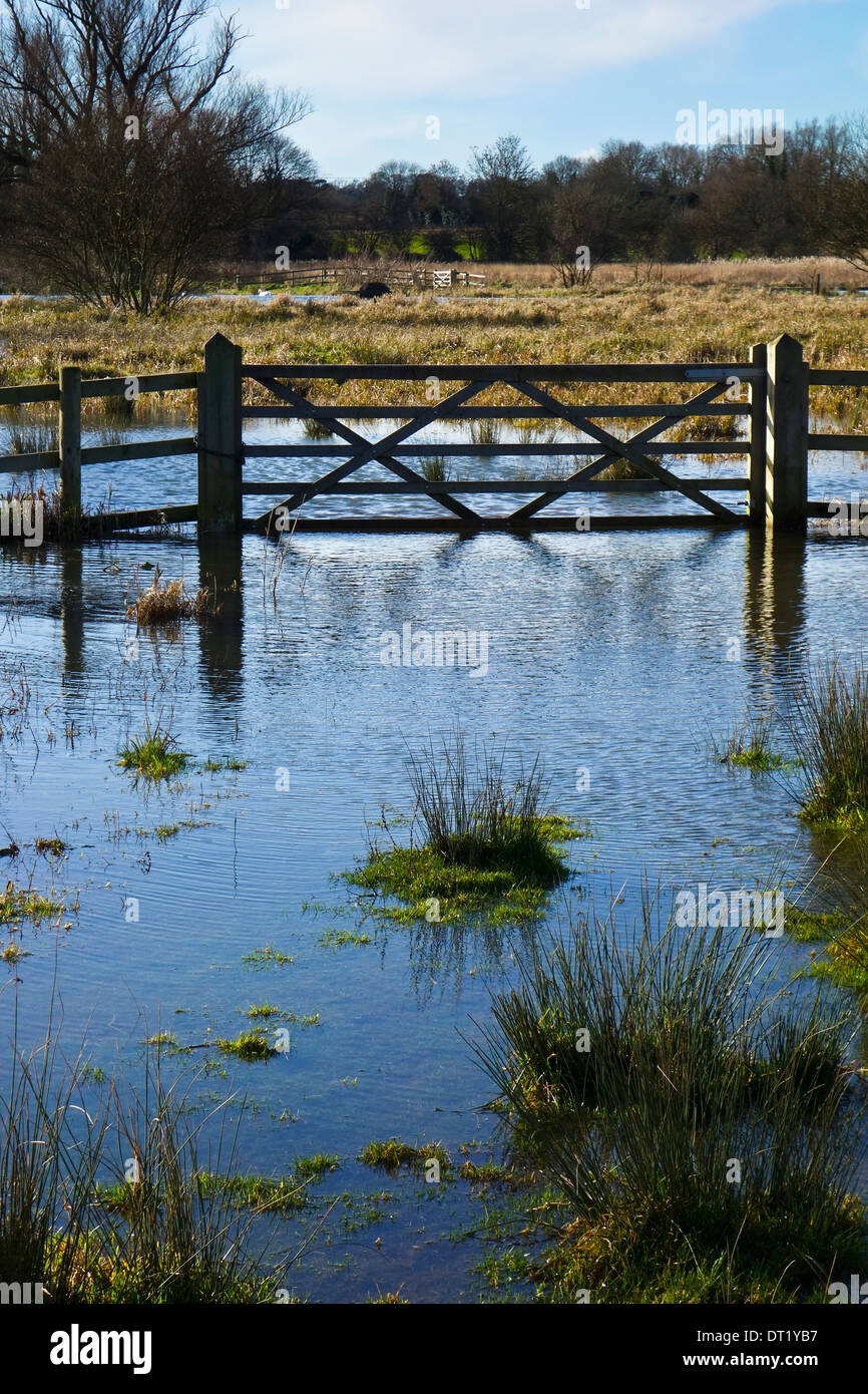 Flooded field flood plain water hi-res stock photography and images - Alamy