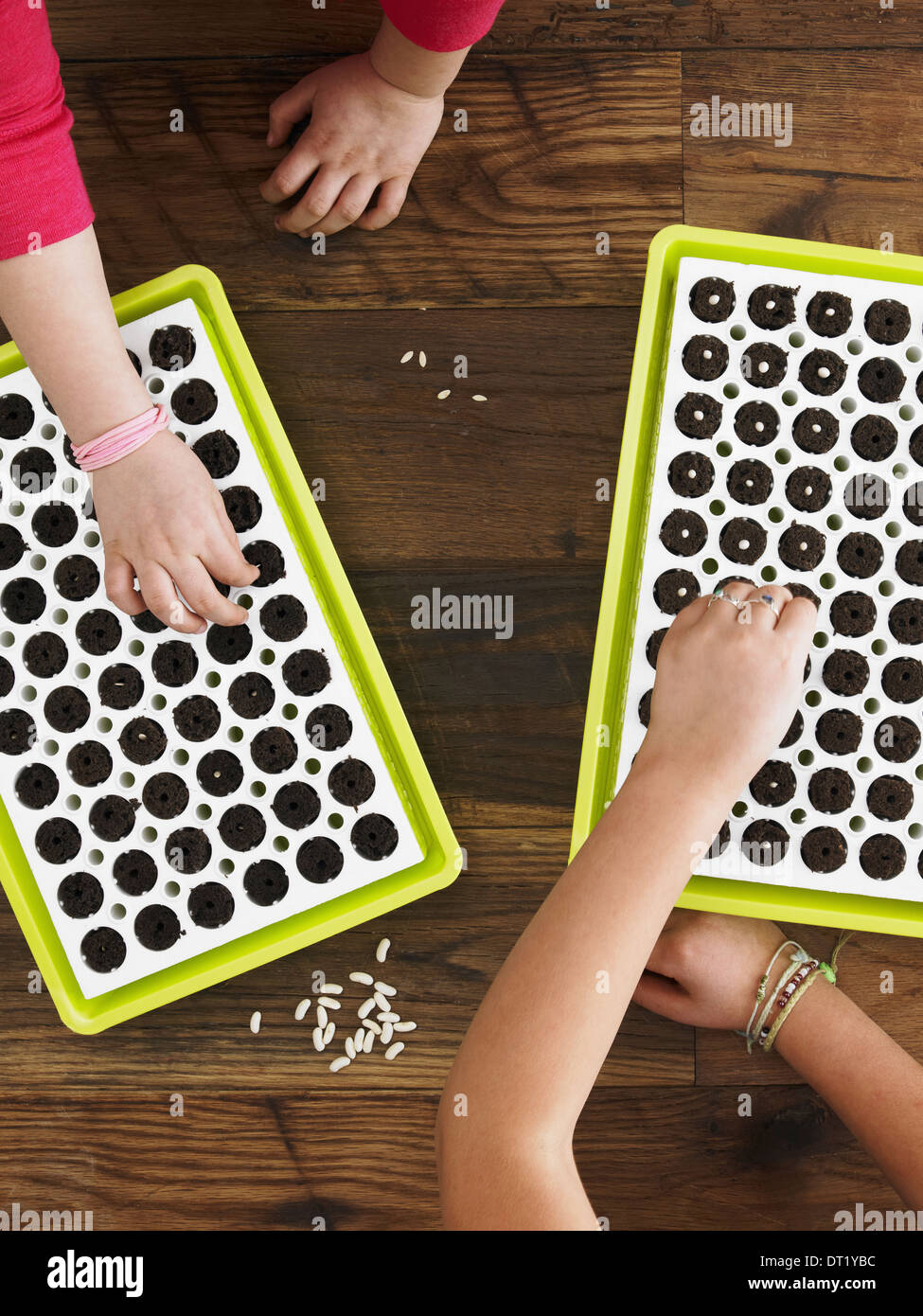 Large group of seeds hi-res stock photography and images - Alamy