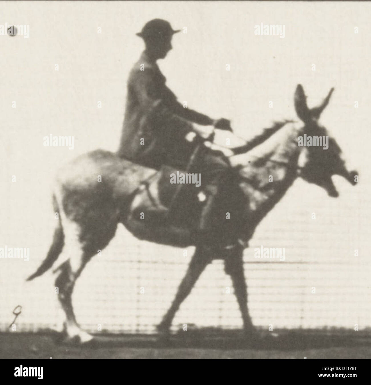 A photograph of a horse walking with a rider, captured in a vintage ...