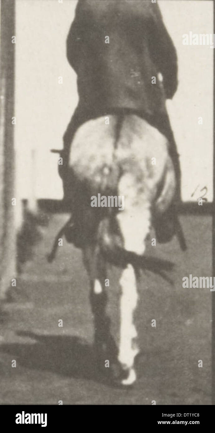 Historic horse rider hi-res stock photography and images - Alamy