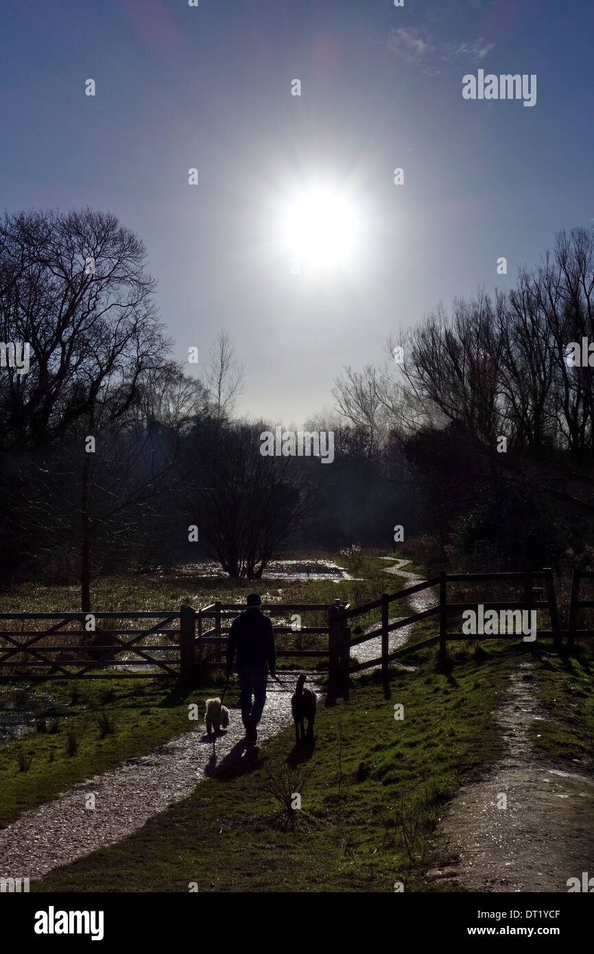 path Norwich fringe project Eaton marsh Stock Photo - Alamy