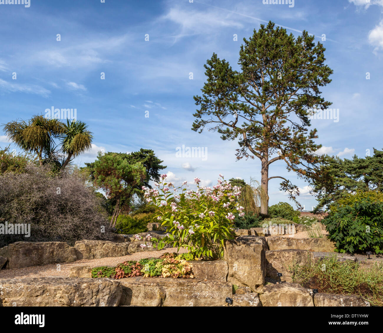 The Rock and Alpine Garden at Royal Botanic Garden, Kew Gardens, London ...