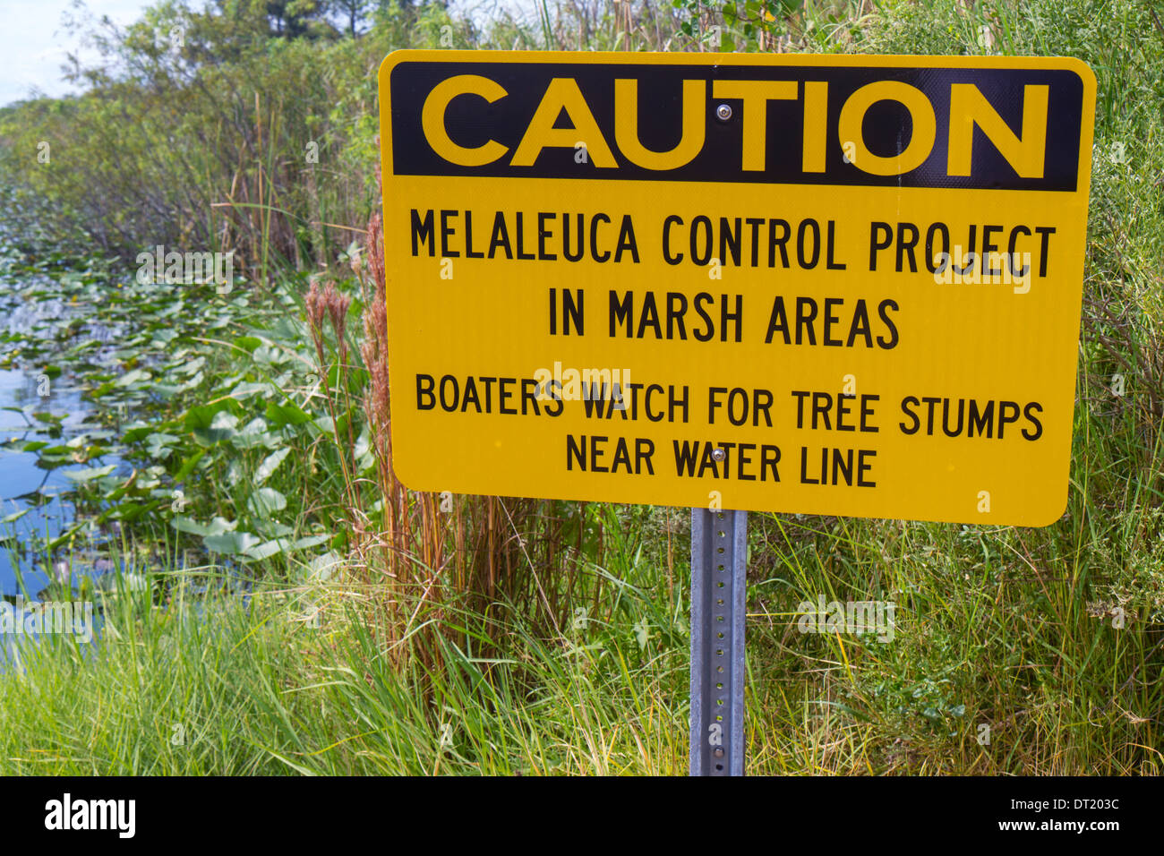 Fort Ft. Lauderdale Florida,Everglades,Alligator Alley,Francis S ...