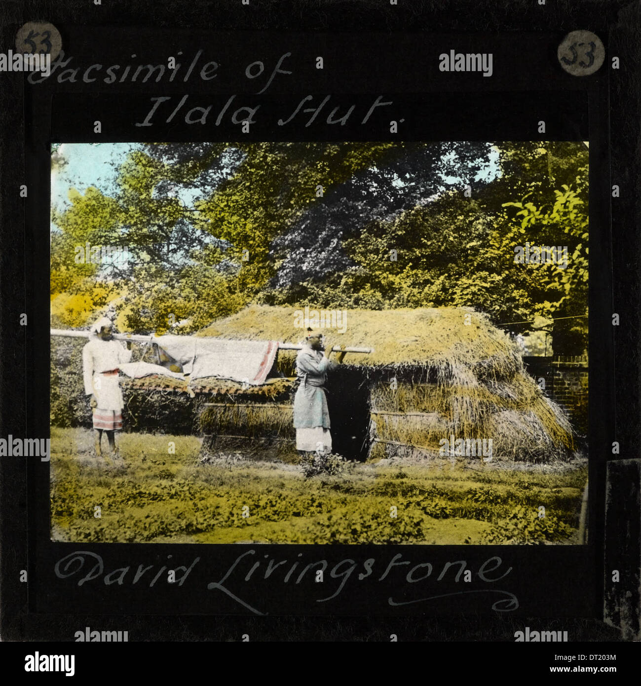 Ilala High Resolution Stock Photography and Images - Alamy