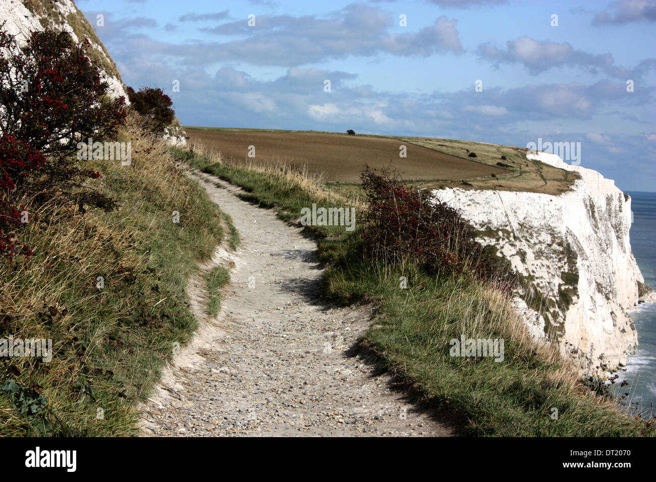 a view of the white cliffs of Dover seen from the footpath leading up ...