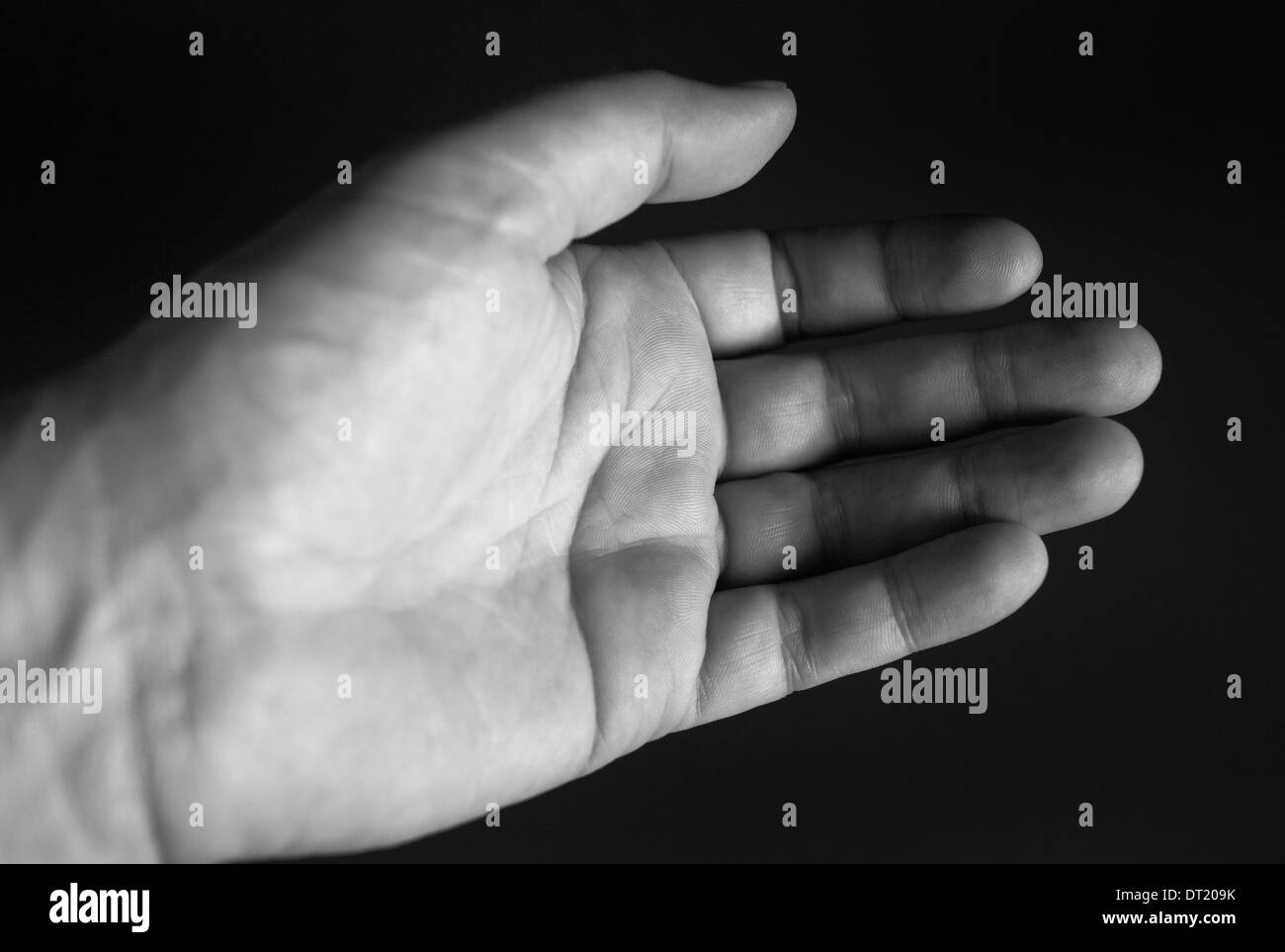 Man hand palm lines hi-res stock photography and images - Alamy