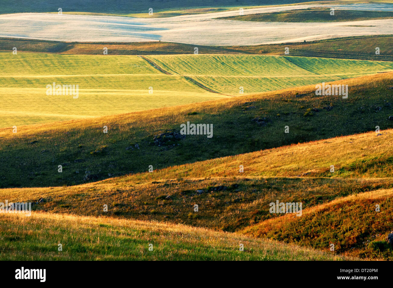 Rural scene landscape nature hi-res stock photography and images - Alamy
