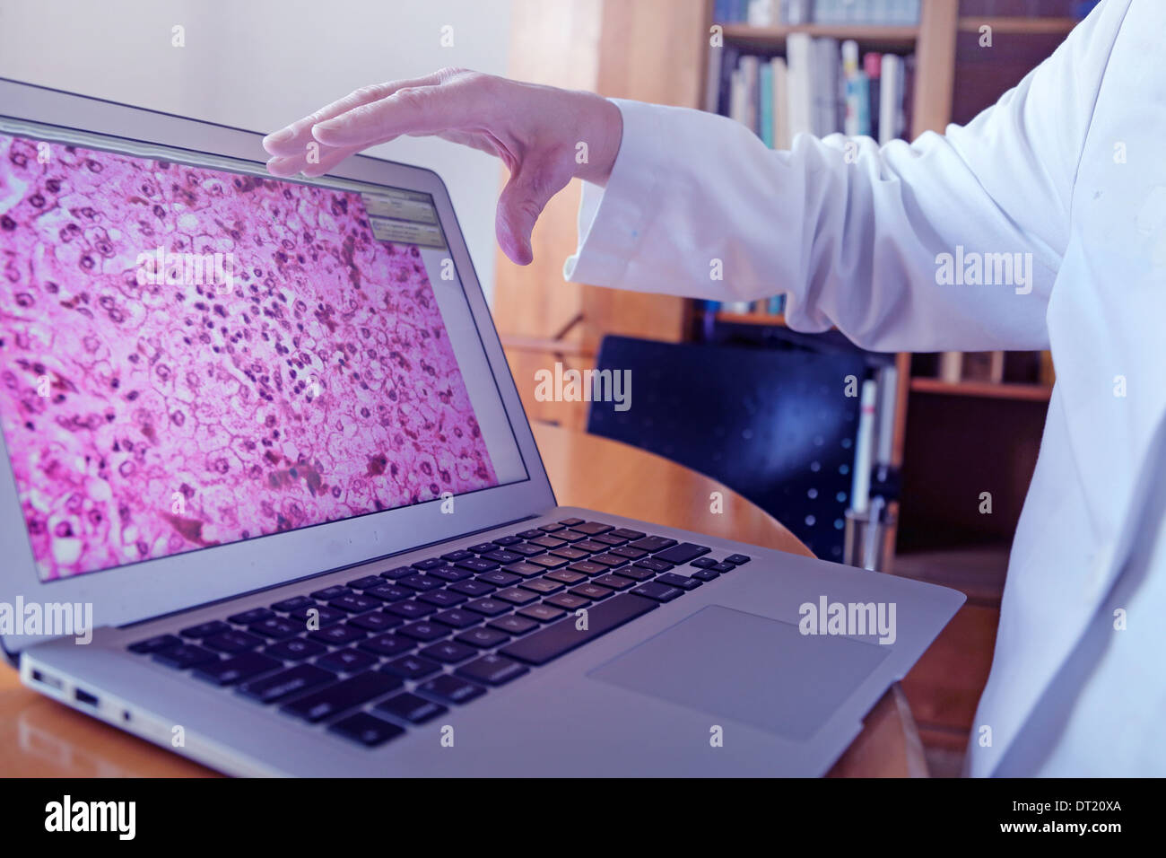 Doctor with report hi-res stock photography and images - Alamy