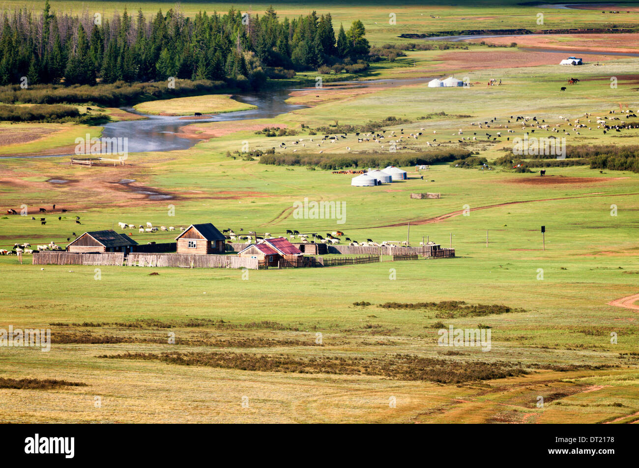 Darkhad valley hi-res stock photography and images - Alamy