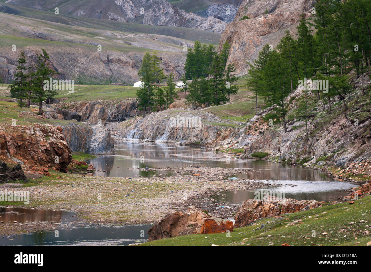 Trees in northern mongolian hi-res stock photography and images - Alamy