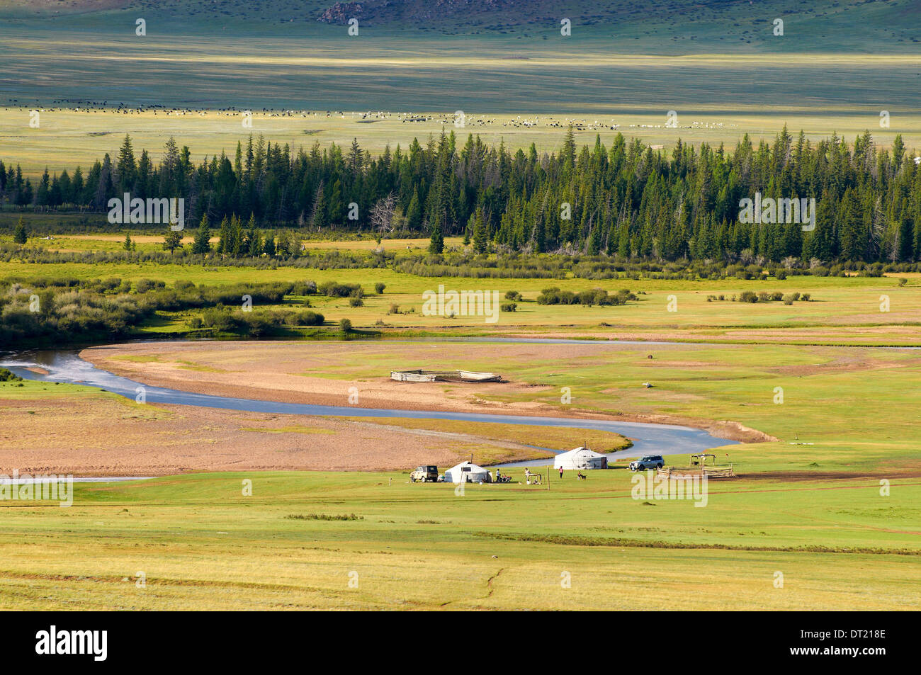 Valley of river Delgermoron in north Mongolia Stock Photo - Alamy