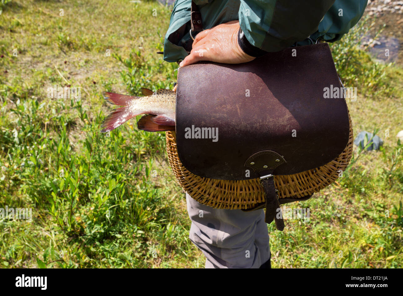Fisherman and the fishing basket with a catch trout Stock Photo - Alamy