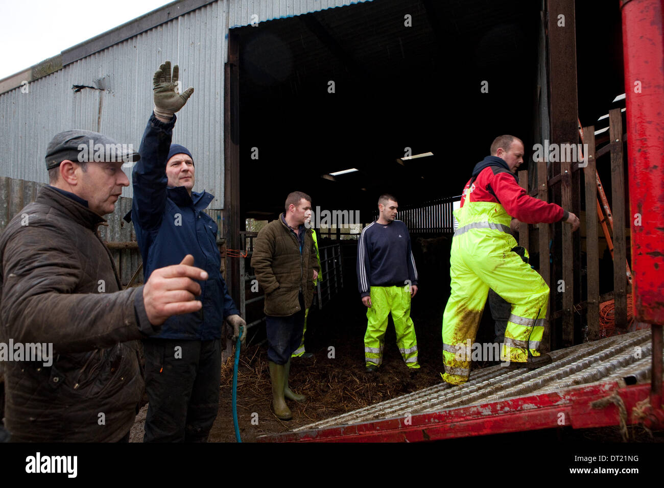 6th February 2014. The evacuation of West Yeo Farm in Moorlands. Local ...