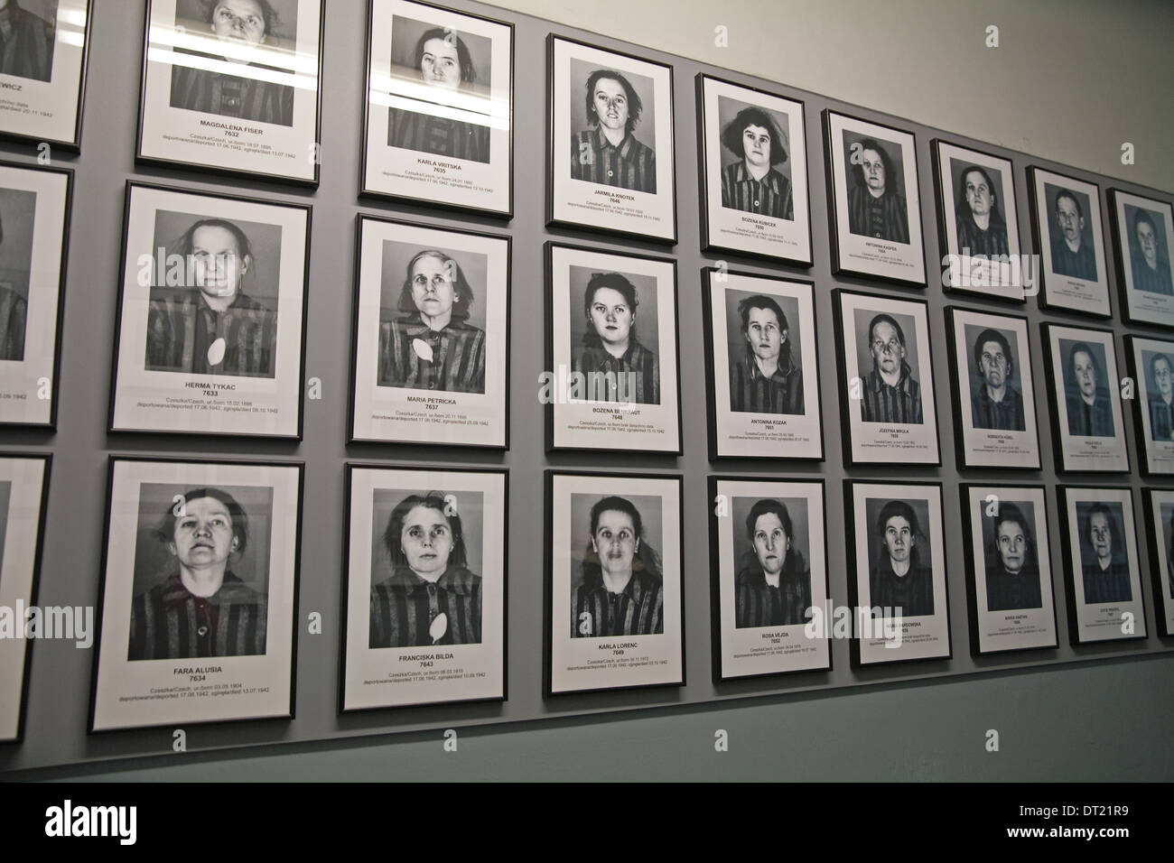 Auschwitz museum hair hi-res stock photography and images - Alamy