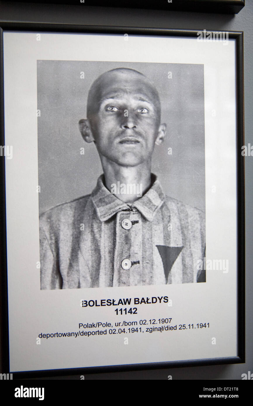 Auschwitz museum hair hi-res stock photography and images - Alamy