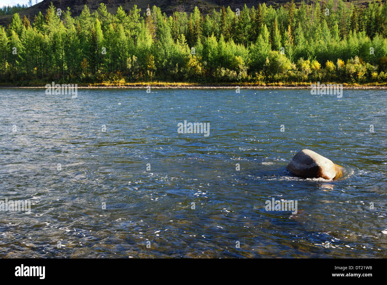 River Shishged in northern Mongolia Stock Photo - Alamy
