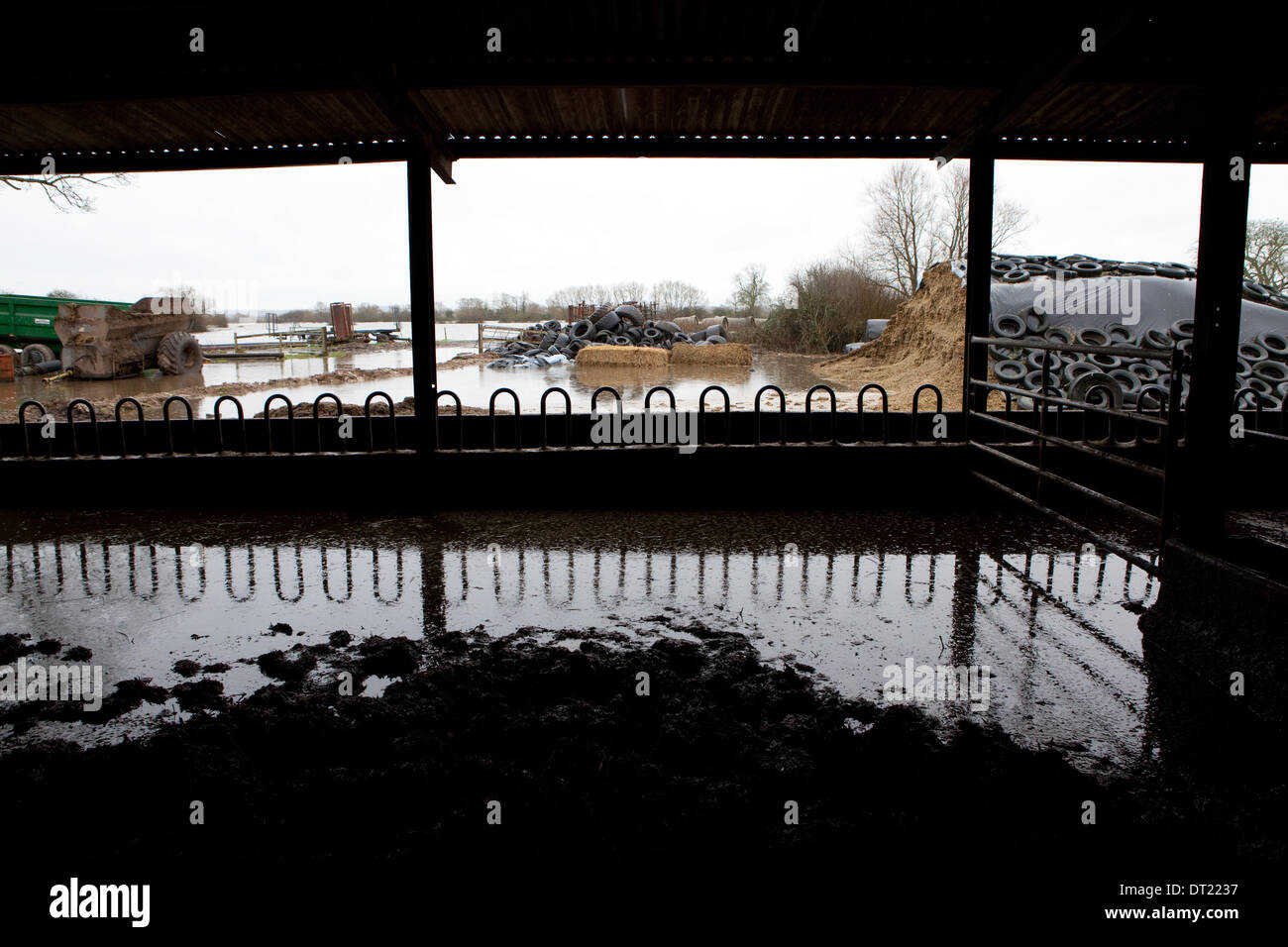 6th February 2014. The evacuation of West Yeo Farm in Moorlands. Local ...