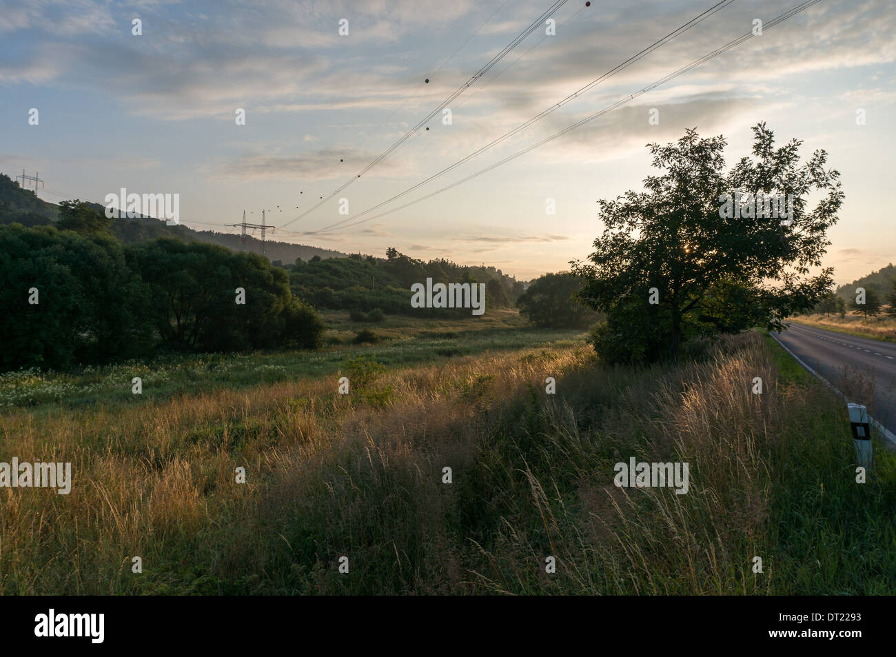 Sunrise over a meadow with a road leading past it Stock Photo - Alamy