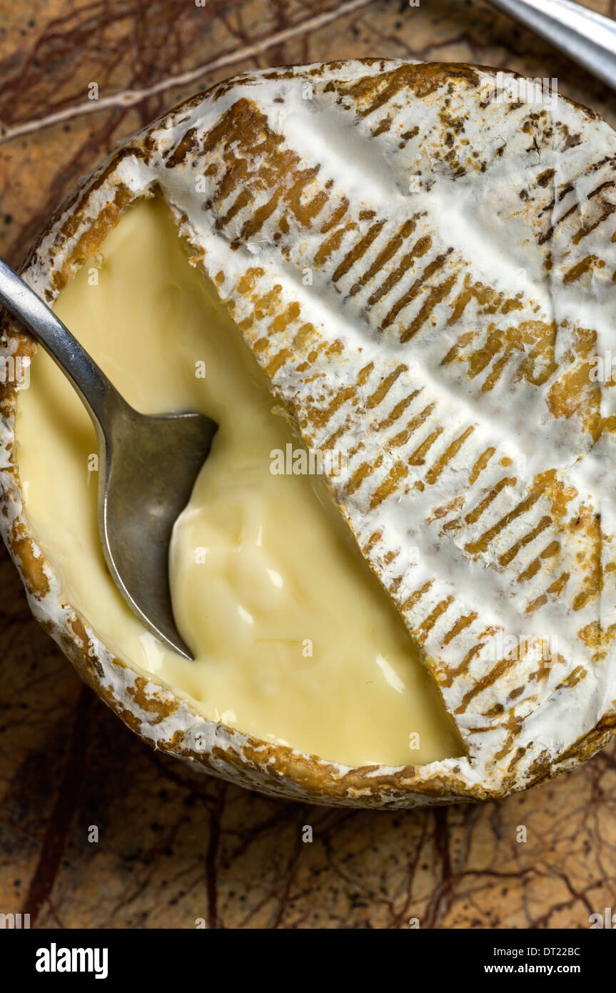 Harbison by Jasper Hill - Cheese Stock Photo - Alamy