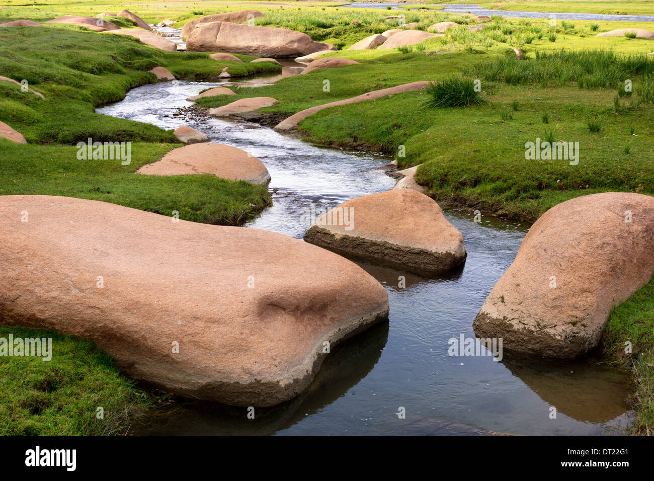 Stream with stones hi-res stock photography and images - Alamy