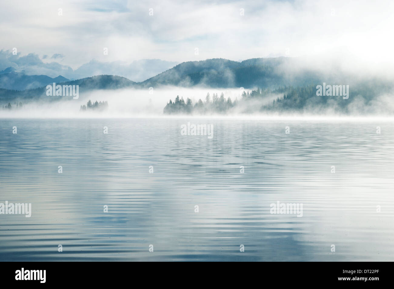 Early blue fog hi-res stock photography and images - Alamy