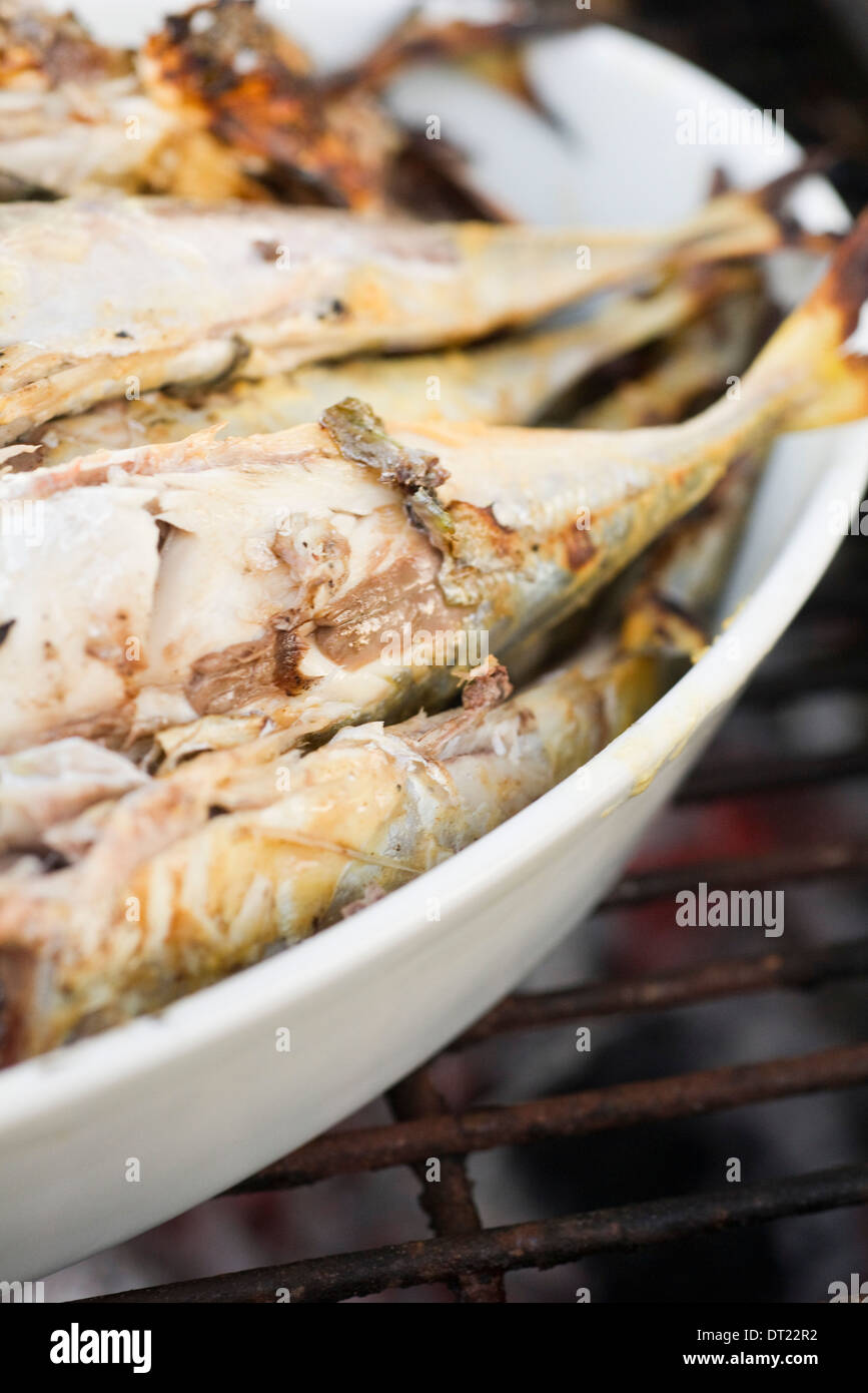 Hot Sauce And Mustard On Fish at Mary Eklund blog