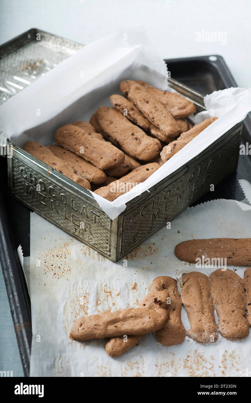 Chocolat lady finger Stock Photo - Alamy